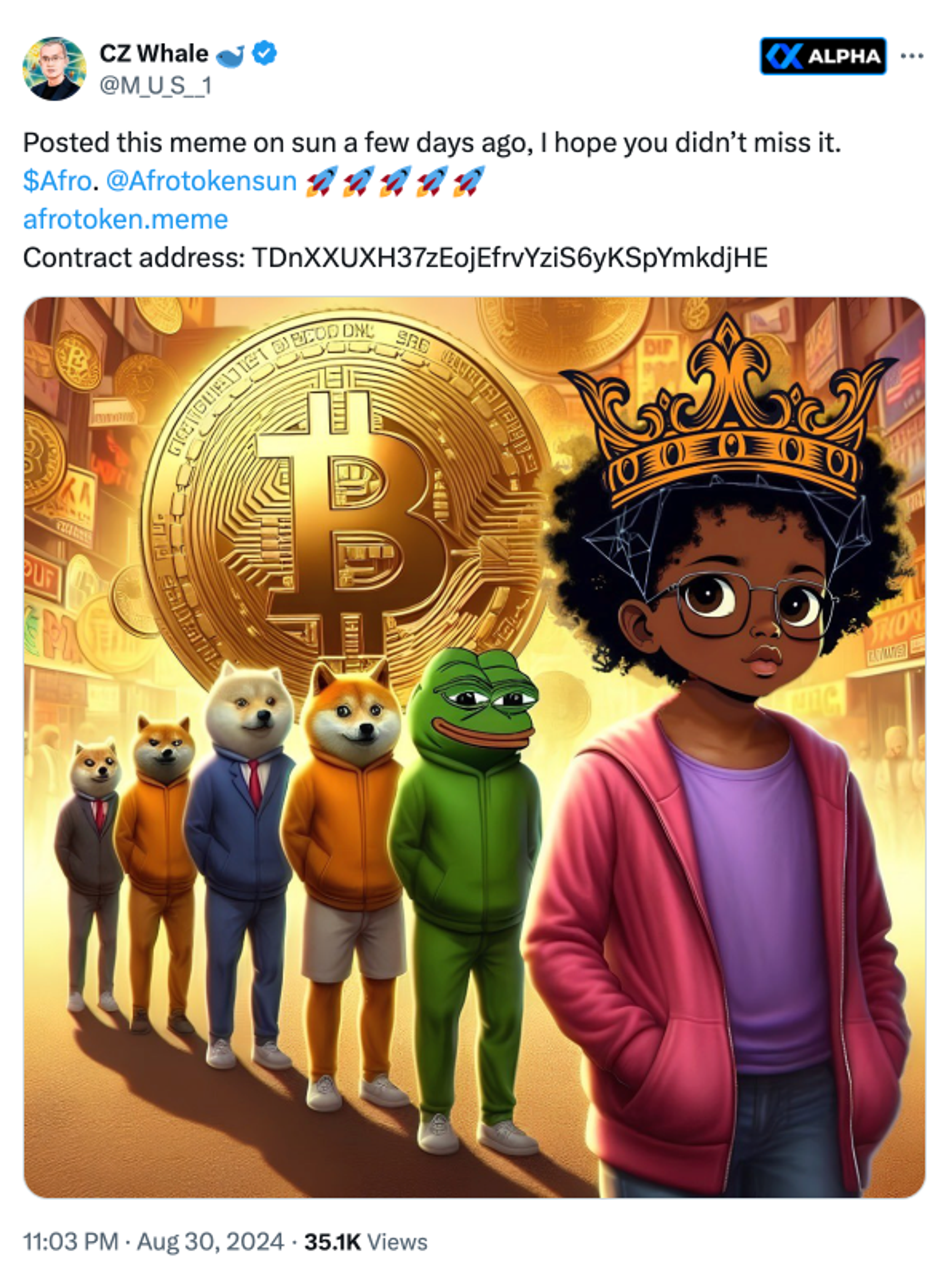 Marketing Strategy for Meme Coins on TRON | ICODA